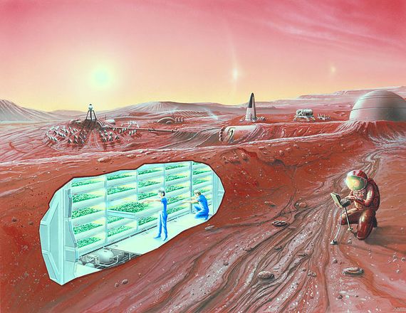How living on Mars will be different than living on Earth - Marspedia