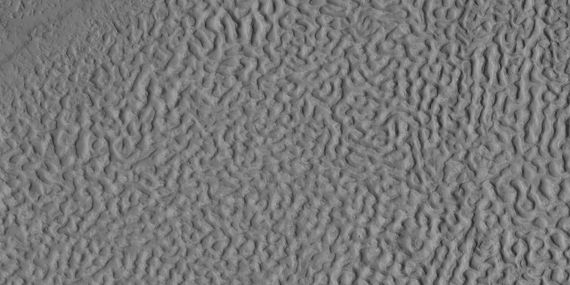 Sublimation landscapes on Mars - Marspedia