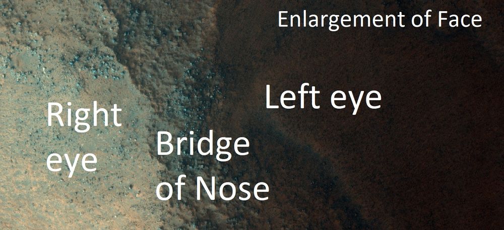 The Face on Mars - Marspedia
